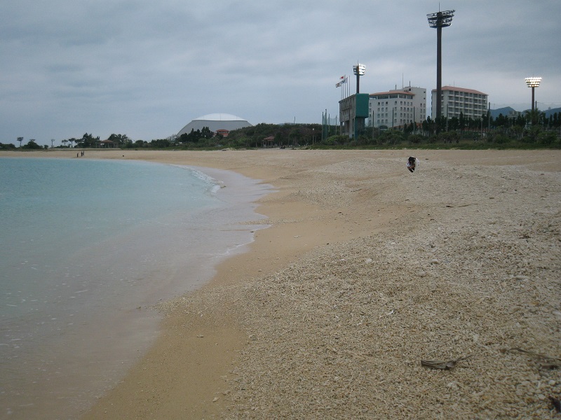 nagoumi | ファイナルアクセス